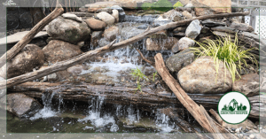 How To Clean Out Your Pond In Spring And Prepare It For A Great Season