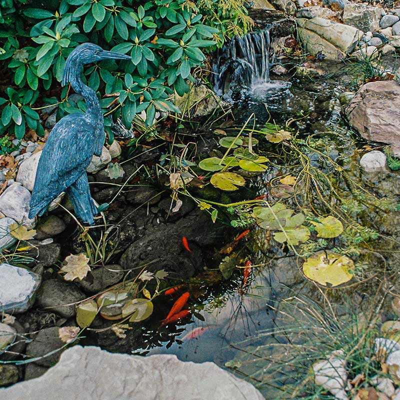 5 Resources For Midsummer Pond And Landscape Inspiration