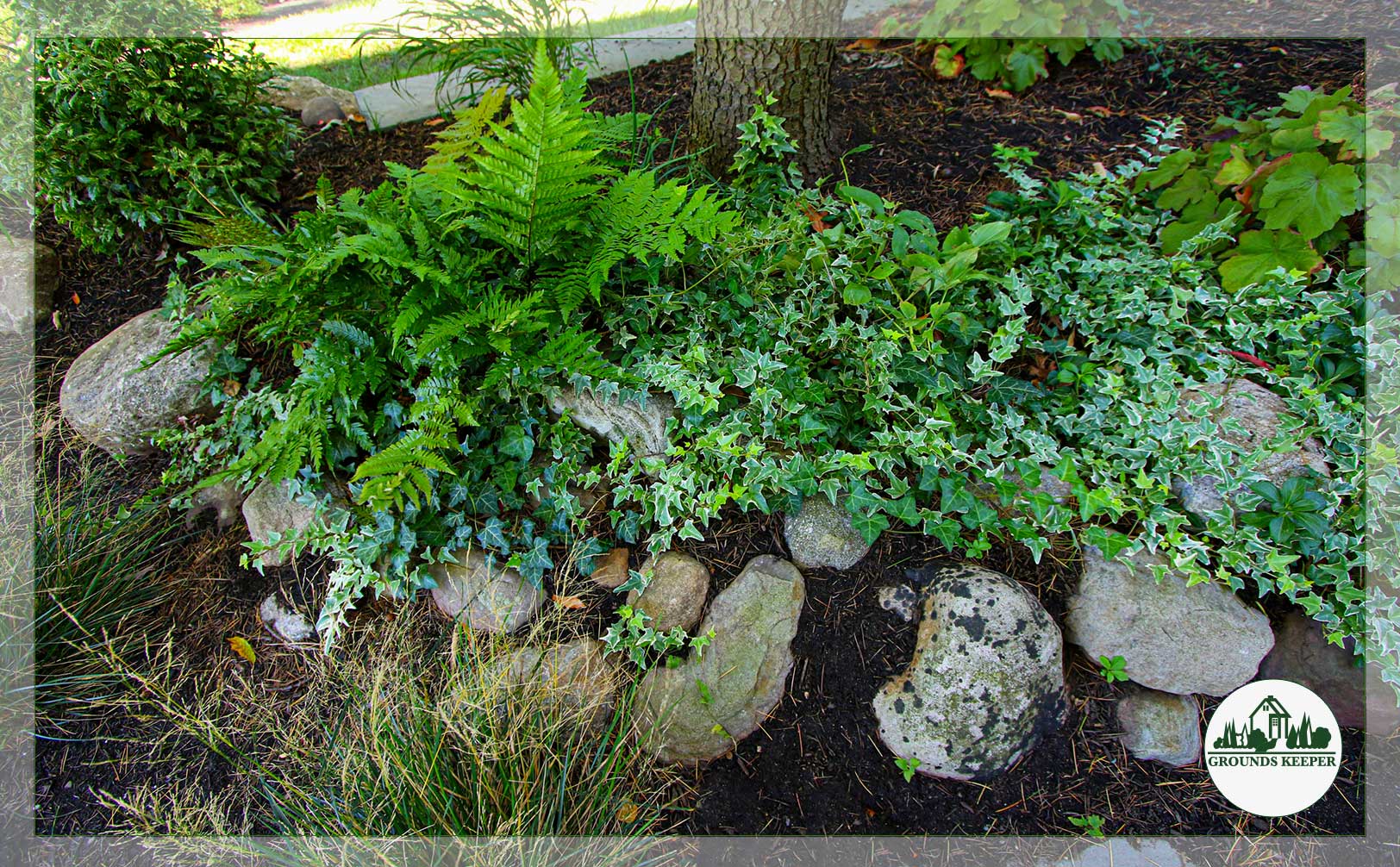 Year-Round Charm: 7 Ground Cover Plants For Every Season